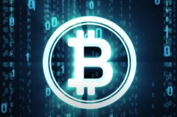 Blockchain.com сообщила дату вероятного IPO – Bitryc